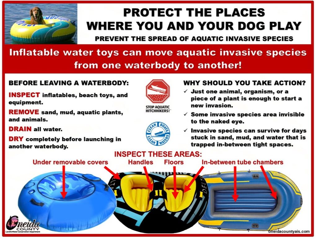 Boat Landing Signage – Aquatic Invasive Species